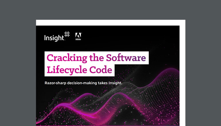 Cracking the Software Lifecycle Code | Insight